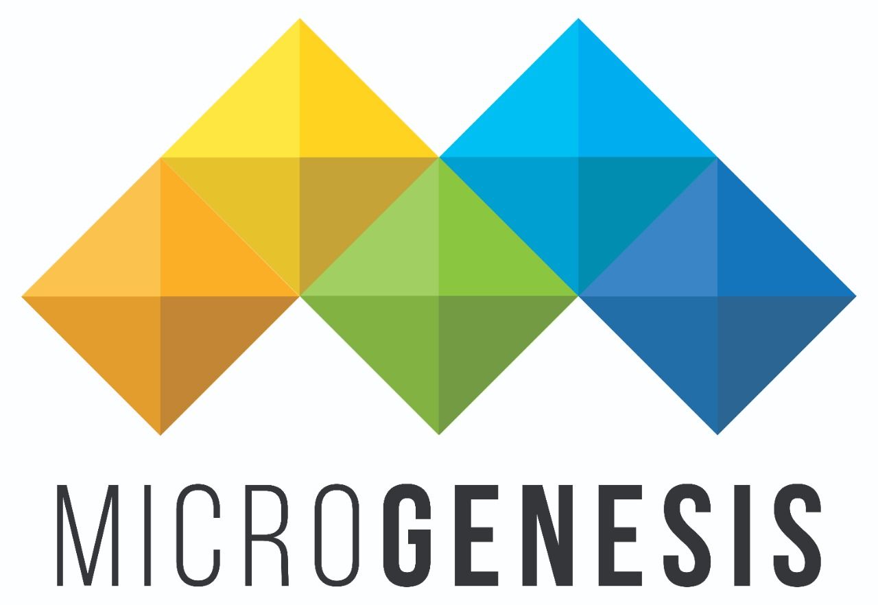 MicroGenesis TechSoft - Best Technology Solutions for Enterprise